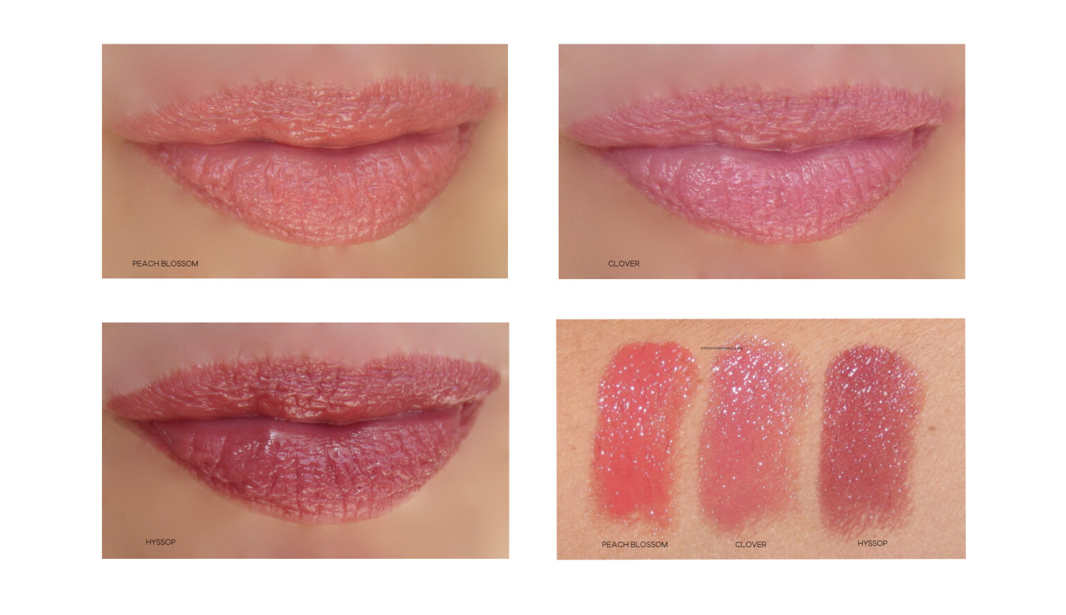 Chantecaille Lip Chic swatches | ommorphia beauty bar